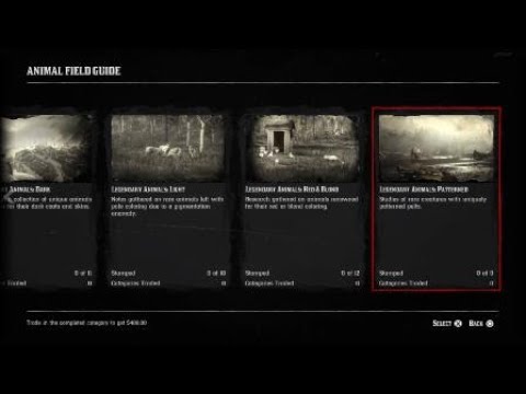 Red Dead Redemption 2 Legendary Ota Fox - YouTube