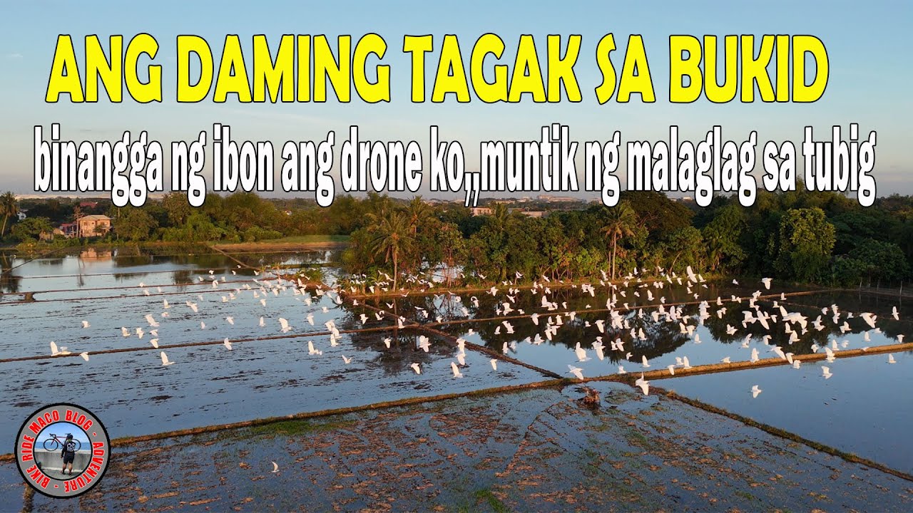 TAGAK NA IBON BINANGGA ANG DRONE KO,,,MUNTIK NG MALAGLAG SA TUBIG.# ...