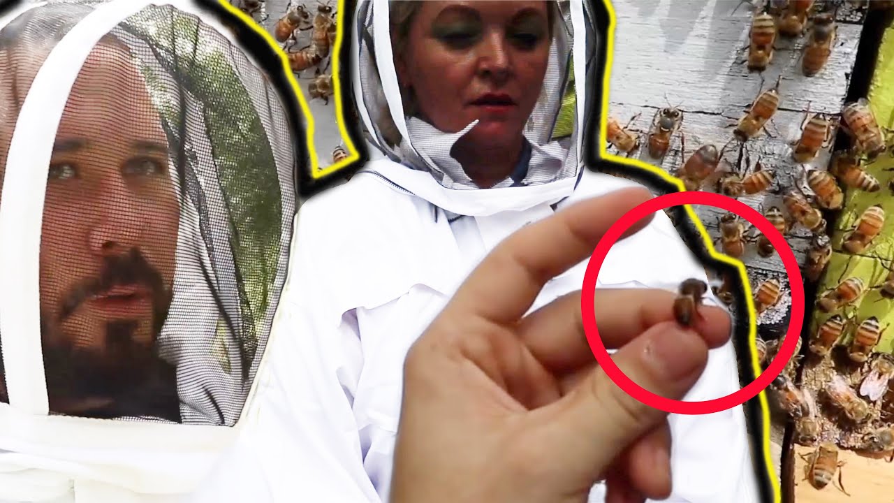 How to be a Beekeeper Gone Wrong - YouTube