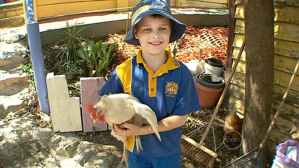 Bulimba State School - Winner 2011 Showcase Award for Excellence in ...