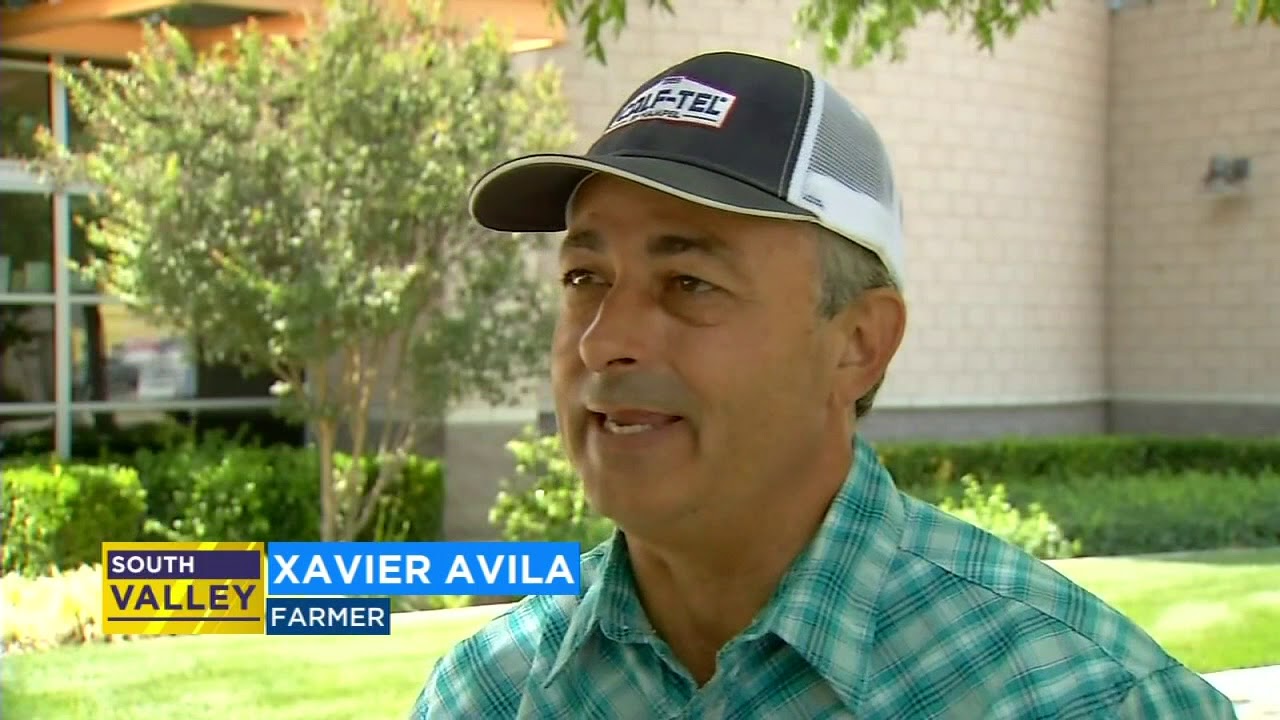After Facebook fury, some farmers want Tulare's mayor out - YouTube