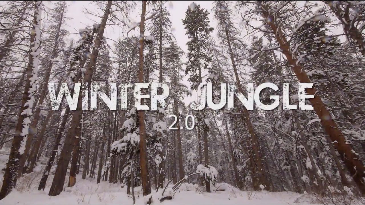 Winter Jungle 2 0 - YouTube