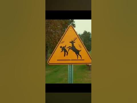 Странные знаки 😱 - YouTube