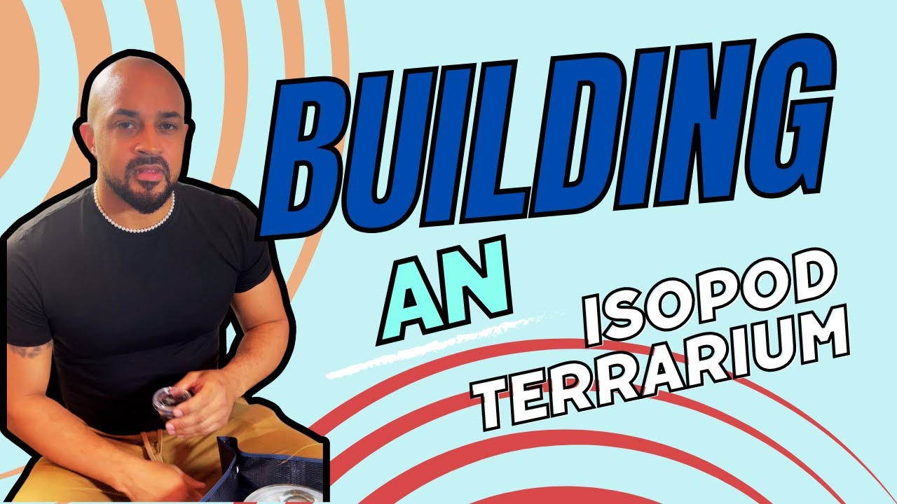 Building an Isopod Terrarium: Step-by-Step Guide for a Thriving Habitat ...