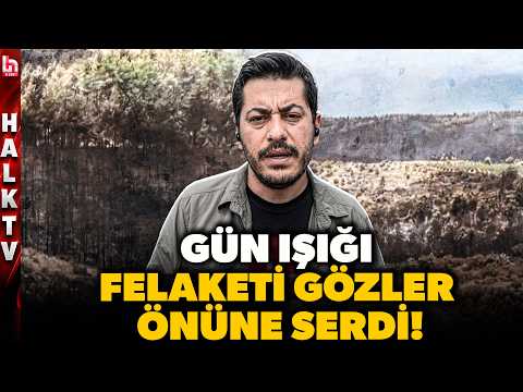 HALK TV EKİBİ YANGIN BÖLGESİNDE! Muğla'daki acı bilanço gün ağarınca ortaya çıktı! Kabus görüntüler!
