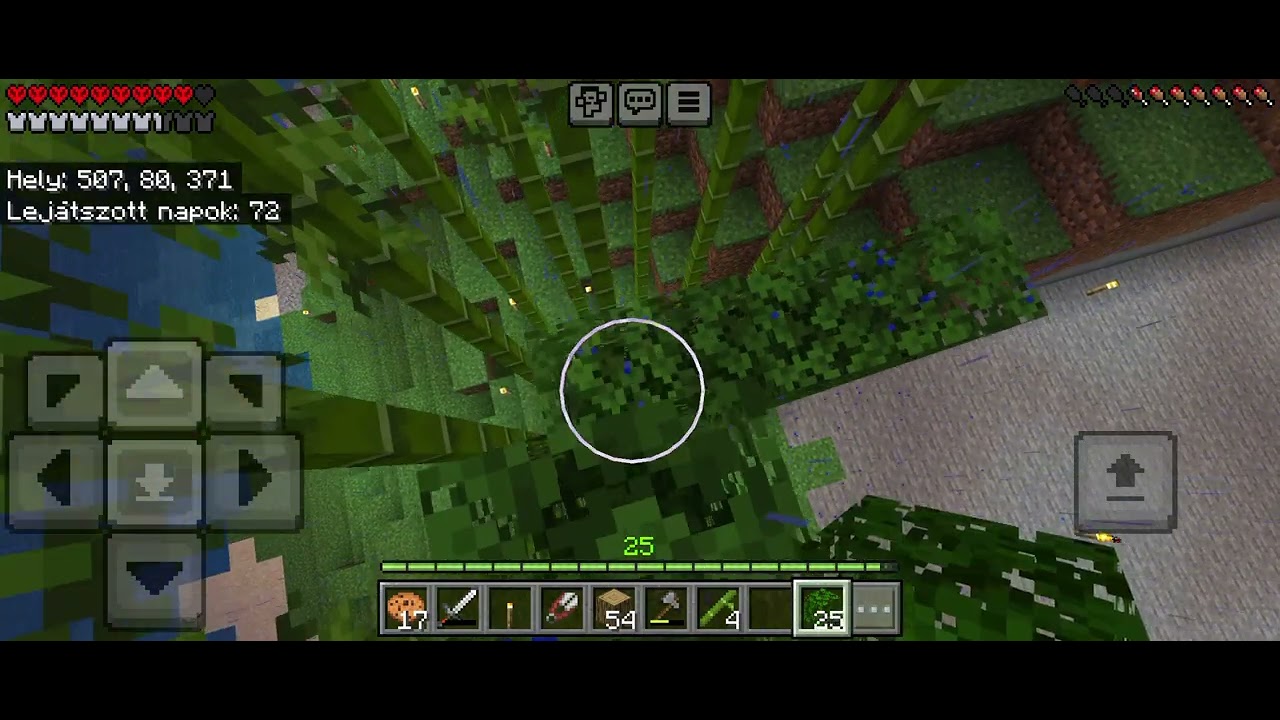 Minecraft Hardcore ház 🏡🏡 körüli rész 🏡🏡 - YouTube