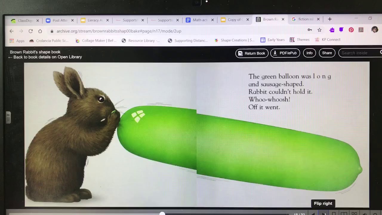 Brown Rabbits Shape Book by Alan Baker - YouTube