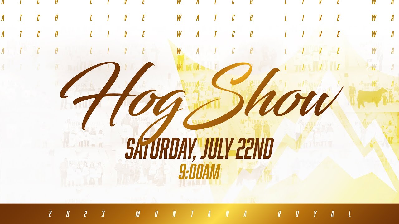 Hog Show | 2023 Montana Royal Junior Livestock Show - Kalispell, MT ...