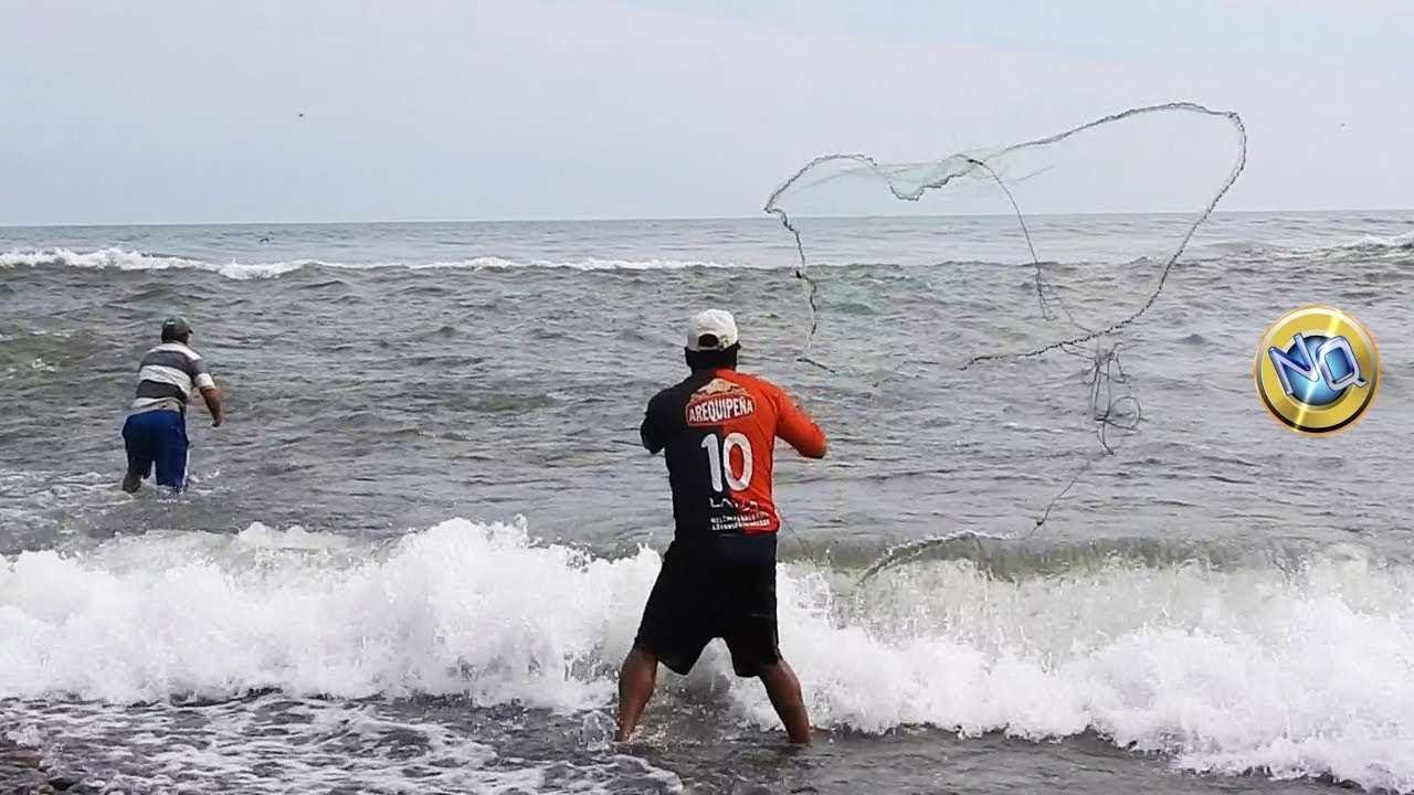 Mira cual de los 2 modelos de redes pesca más, Atarraya de tiros vs # ...