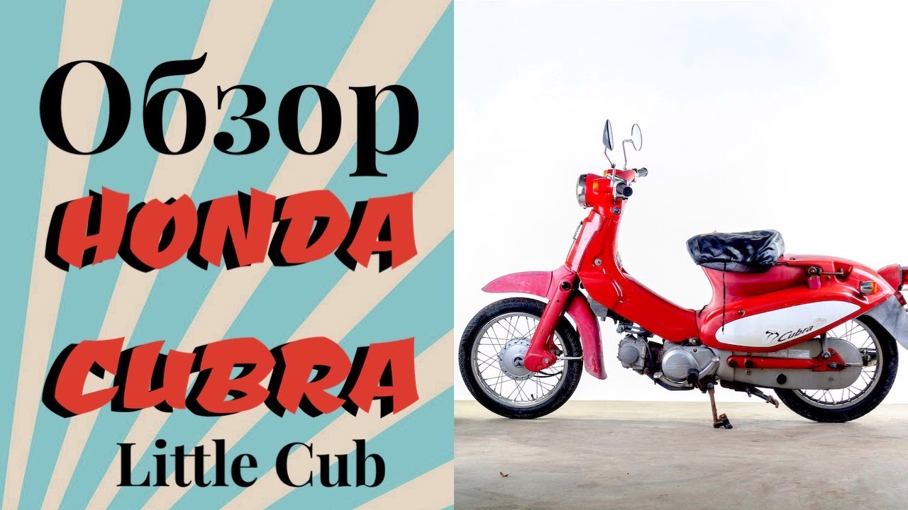 Honda CUBRA (Little Cub Cubra) - YouTube