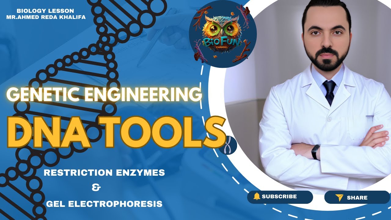 Genetic Engineering | DNA tools | Restriction Enzymes | Gel ...