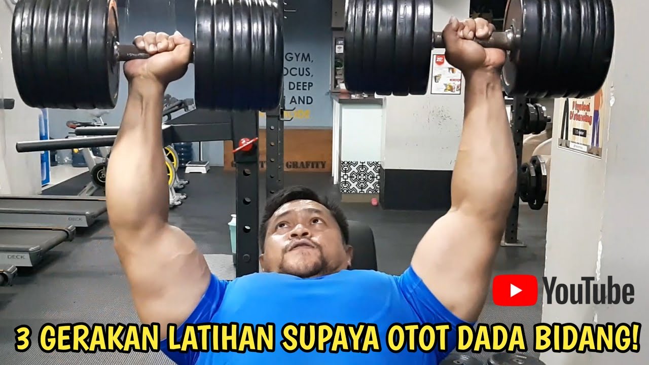3 Gerakan Latihan supaya otot Dada Bidang, Latihan Free weight (Beban ...
