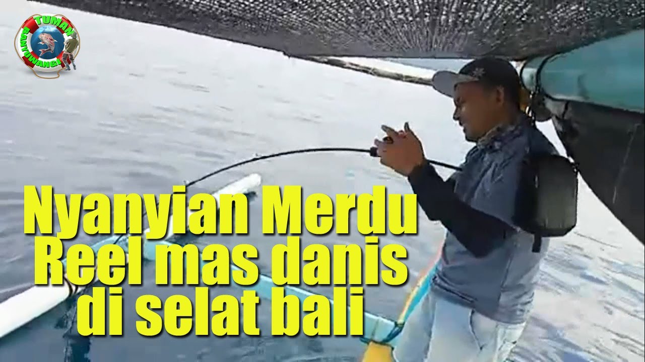 Reel sampai menjerit ditarik Ikan ini.. benar2 kuat tarikannya # ...