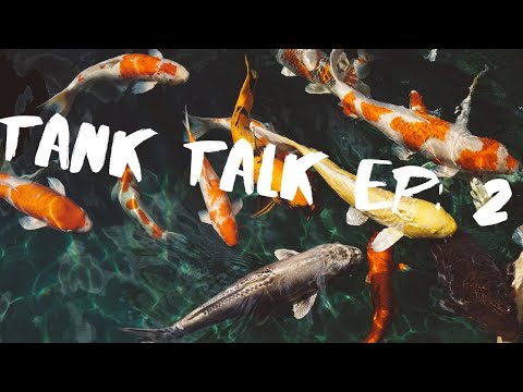 Tank Talk EP: quick update - YouTube