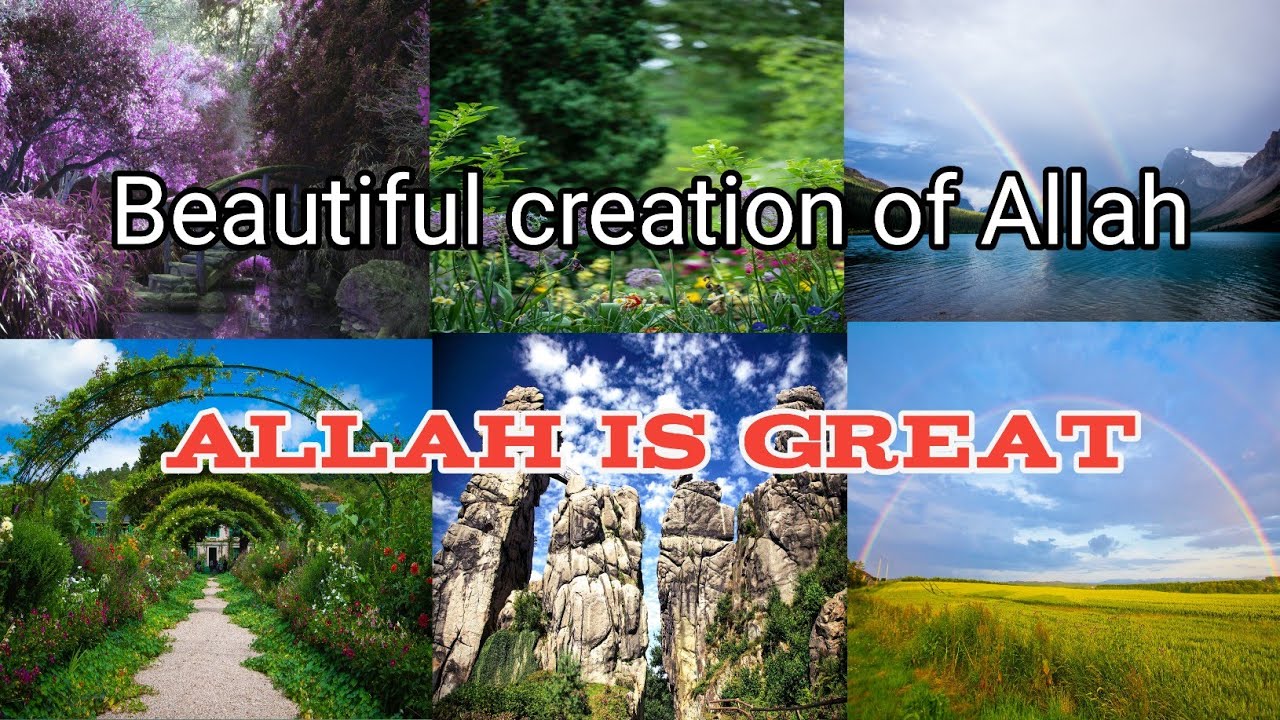 Allah is Great. Wonderful creation of Allah. How beautiful Allah has ...