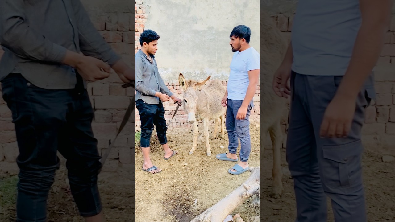 Honeymoon With Khoti 😂🤣 #viralfunny #comedy #foryou #newcontent # ...