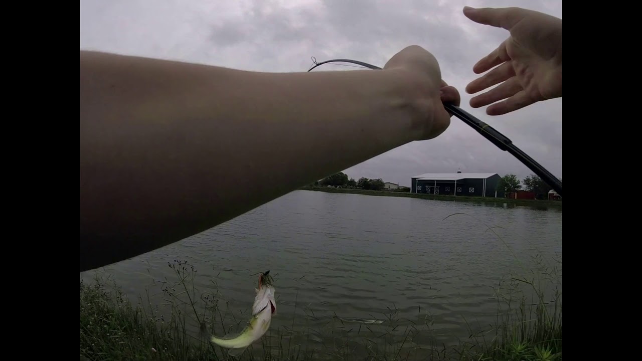 Fishing at the Hall's Pond - YouTube