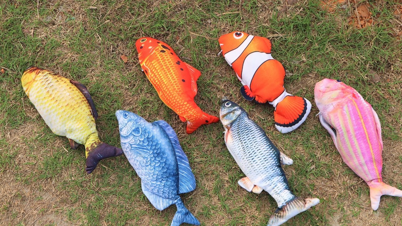 ikan Oleng membuka kemasan part 2 - YouTube