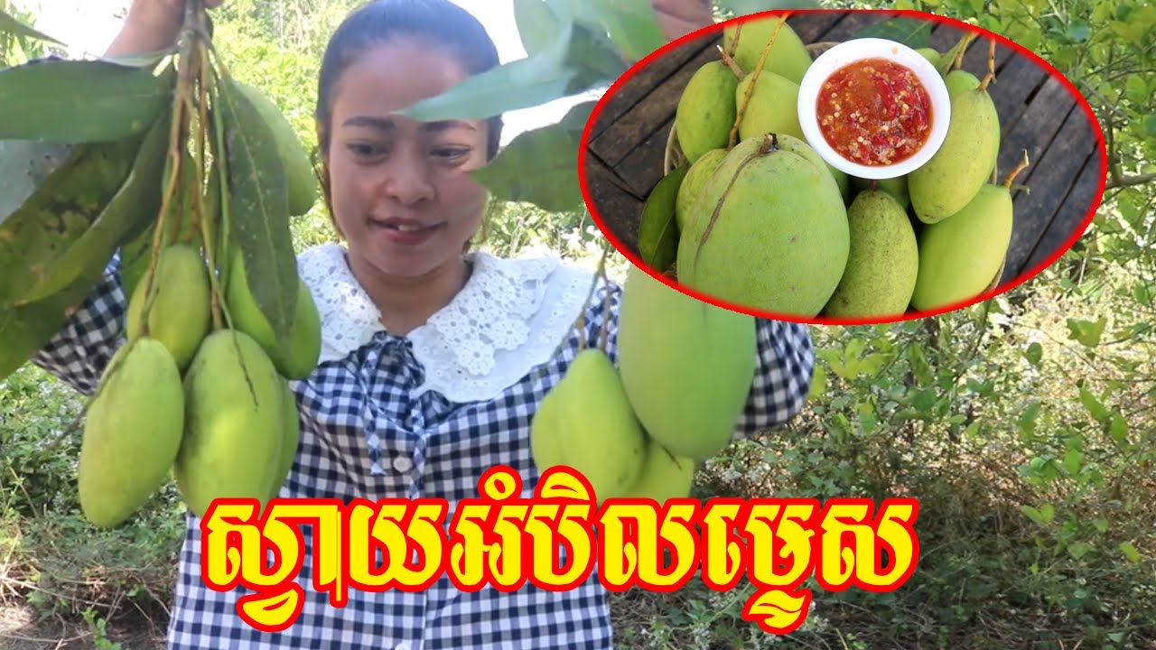Young mangoes with salt and pepper [ ផ្លែស្វាយខ្ចីជាមួយ អំបិលម្ទេស 176 ...