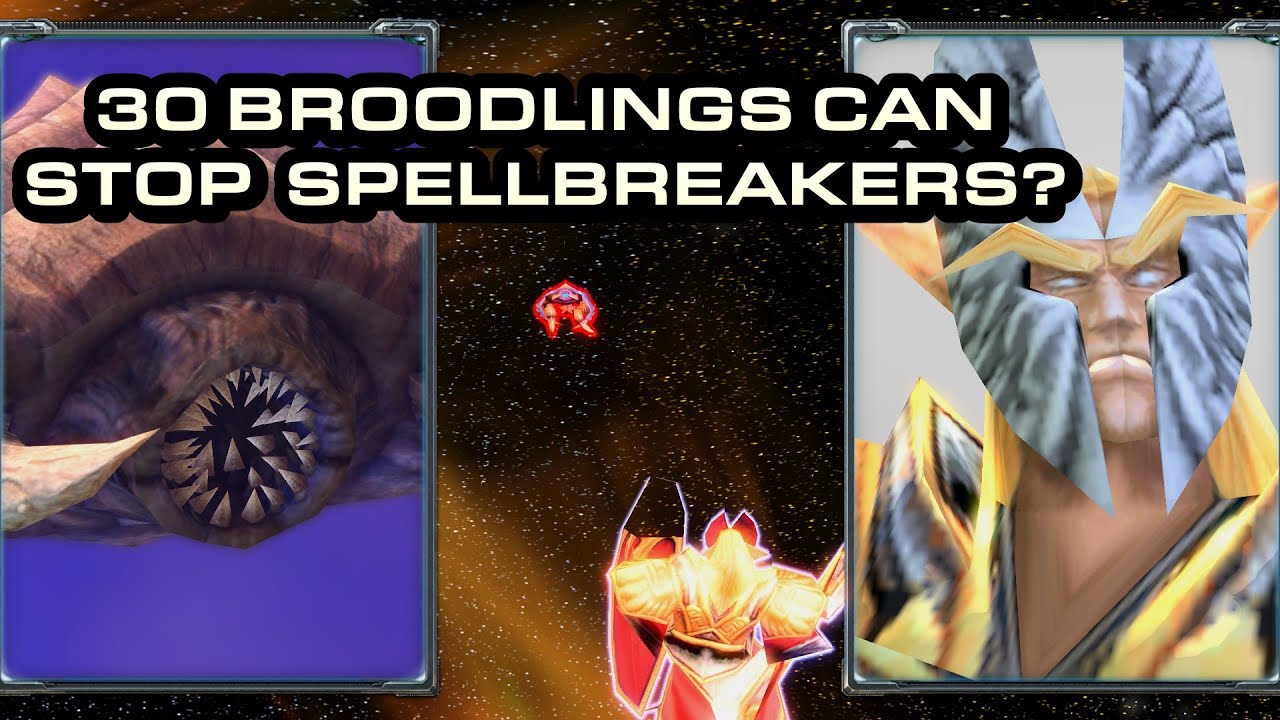 Do SPELLBREAKERS withstand against BROODLINGS? | QUICK #warcraft # ...