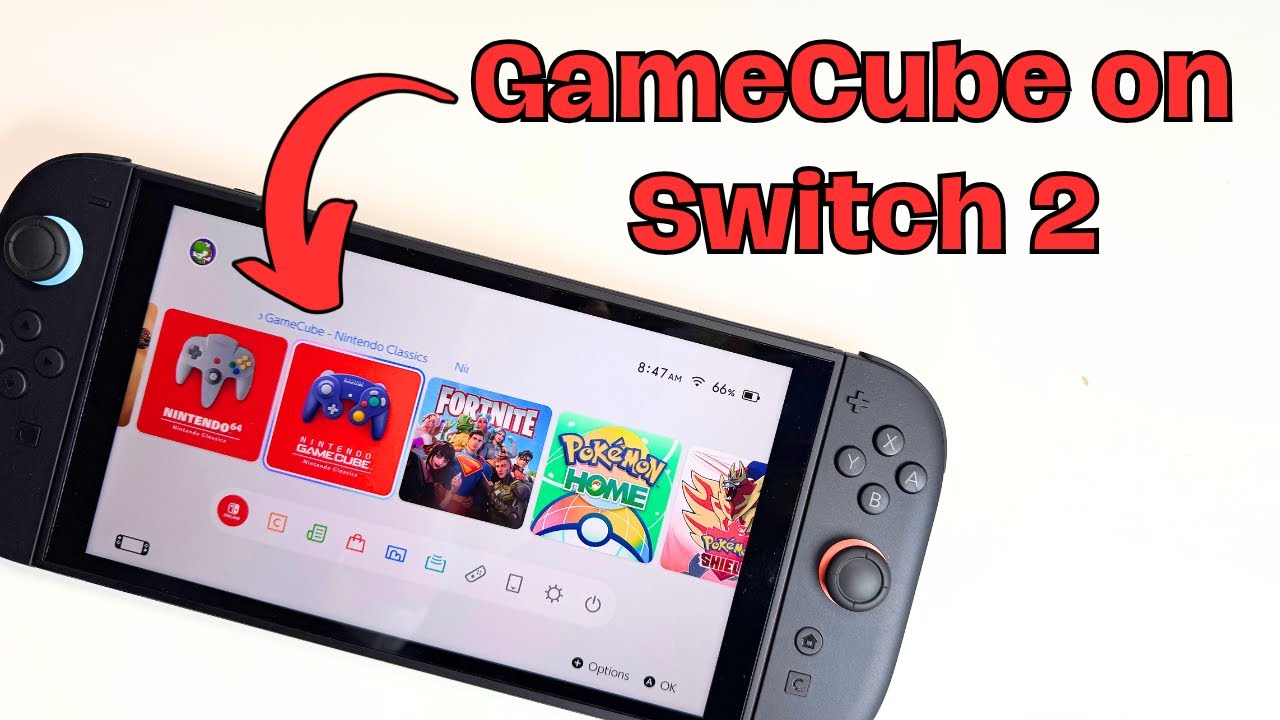 How to Play GameCube Games on Nintendo Switch 2 - YouTube