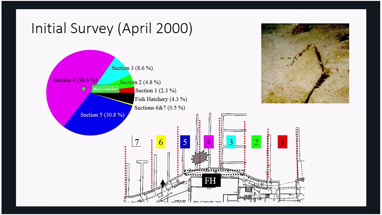 IMC Webinar: Case Studies in Manual Removal of Invasive Mussels - YouTube