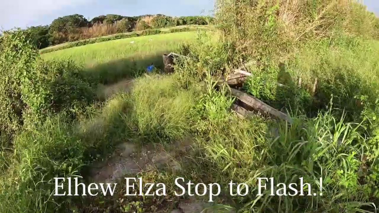 ELHEW POINTER - YouTube