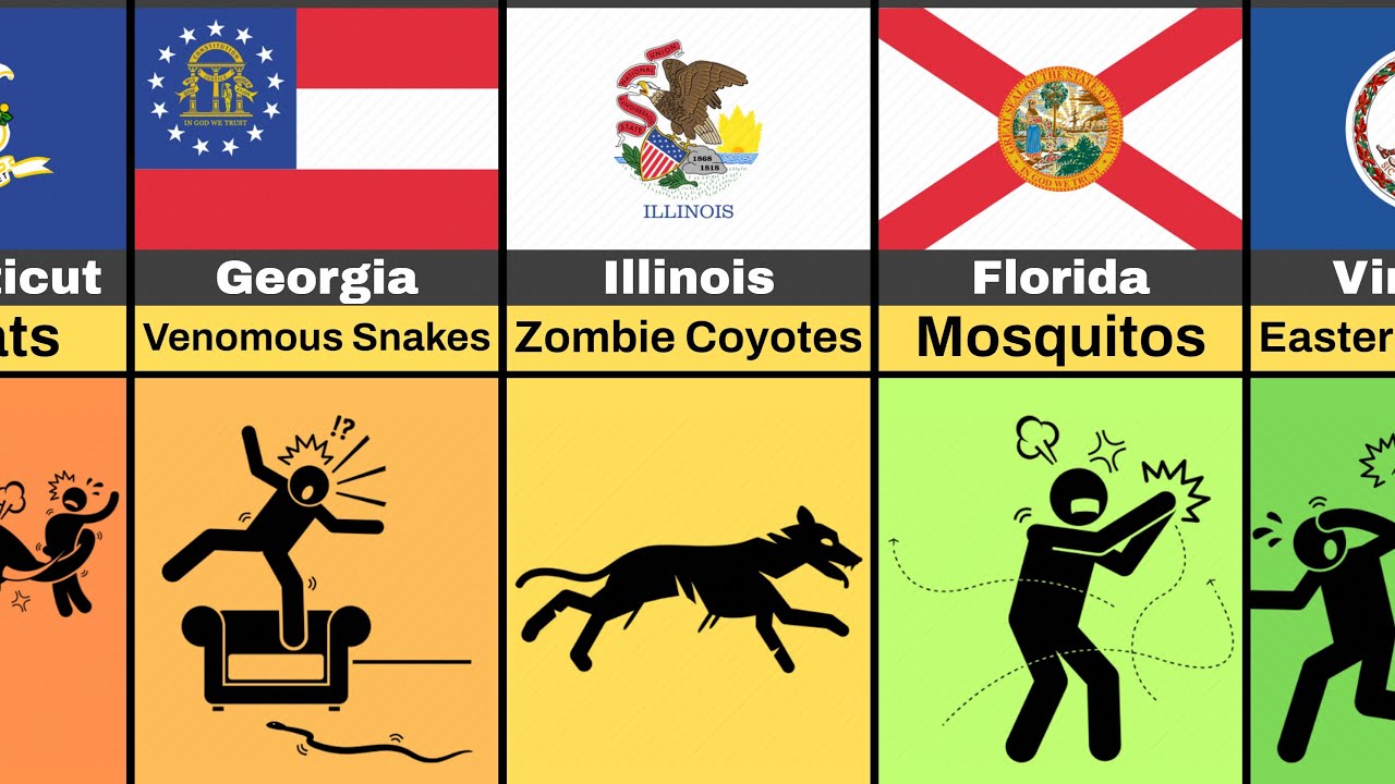 Comparison: The Most Dangerous Animal In Each State - YouTube
