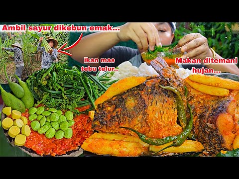 AMBIL SAYURAN DIKEBUN MAK.MASAK DAN MAKAN