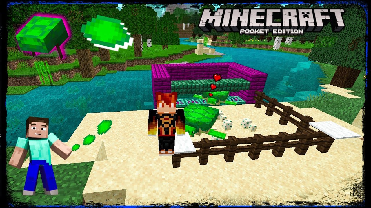 How To Make A Turtle Farm In Minecraft Pocket Edition Super Simple how-to-make-a-turtle-farm-in-minecraft-pocket-edition-super-simple