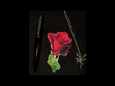 Songül Güner   Yalan Dünya