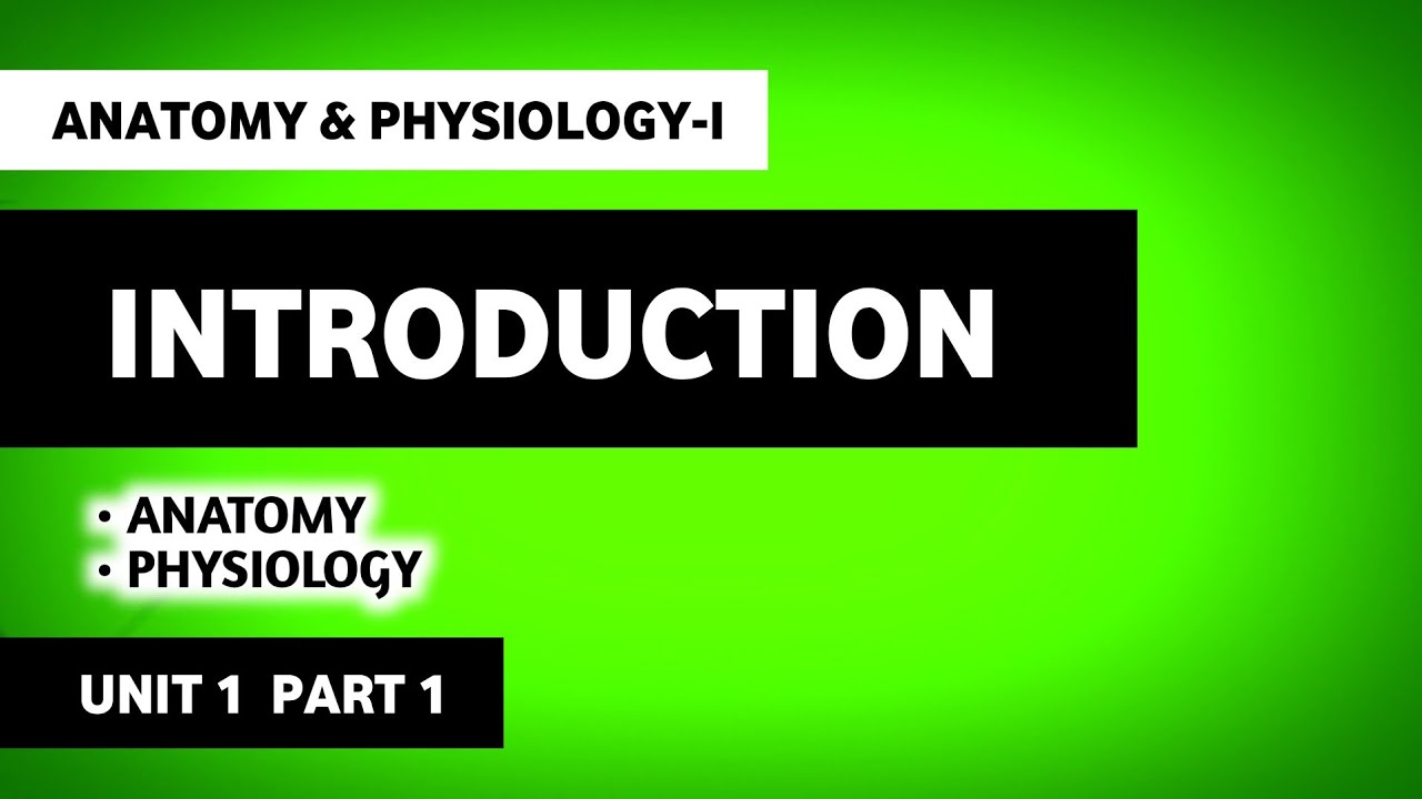 Human Anatomy And Physiology | HAP | Introduction To Human Body | B ...