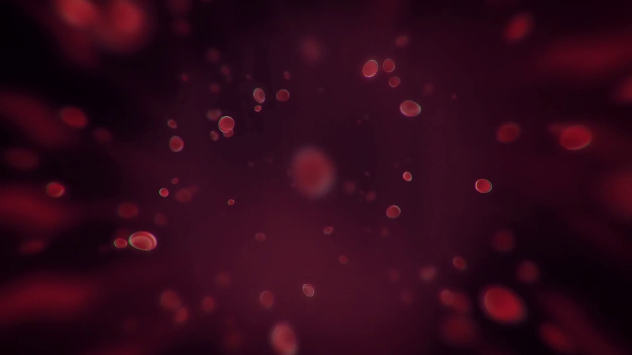 Bloodstream 4K Motion Background Loop - YouTube