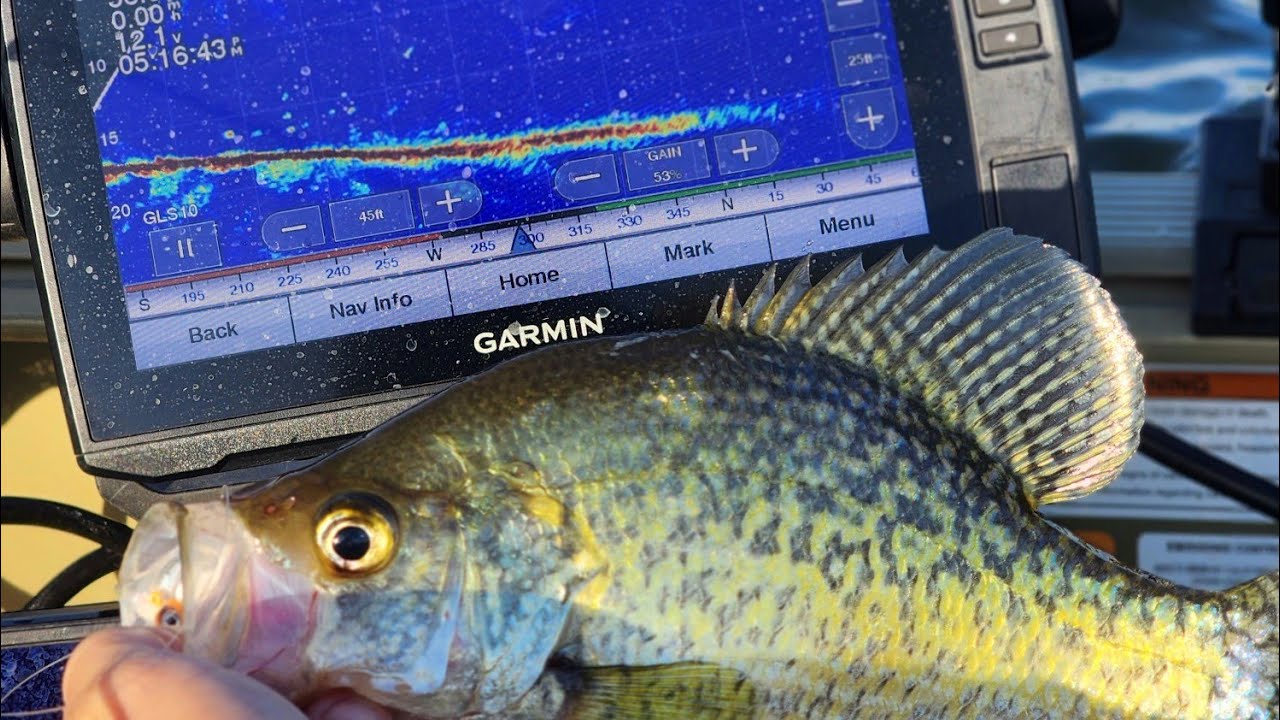Crazy fall crappie action with Garmin Livescope!! (Crappies were LOADED ...
