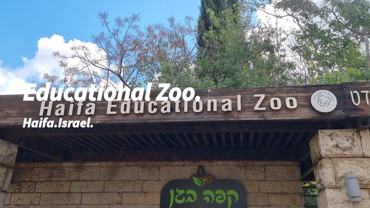 Educational Zoo in Haifa.Образовательный Зоопарк в Хайфе.Израиль.גן ...