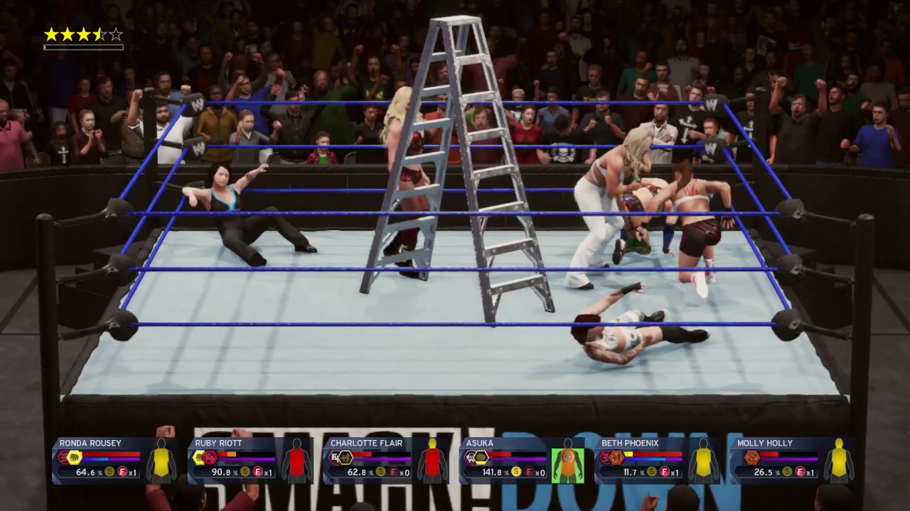 LADDER MATCH FOR THE WWE WOMANS TV CHAMPIONSHIP - YouTube