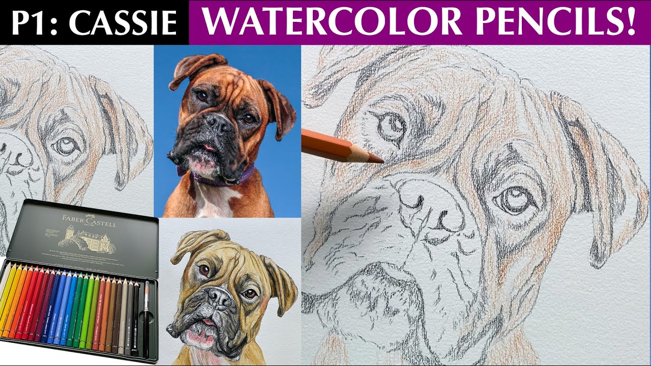 Part 1: Cassie Drawing Base Layer in Watercolor Pencils! - YouTube