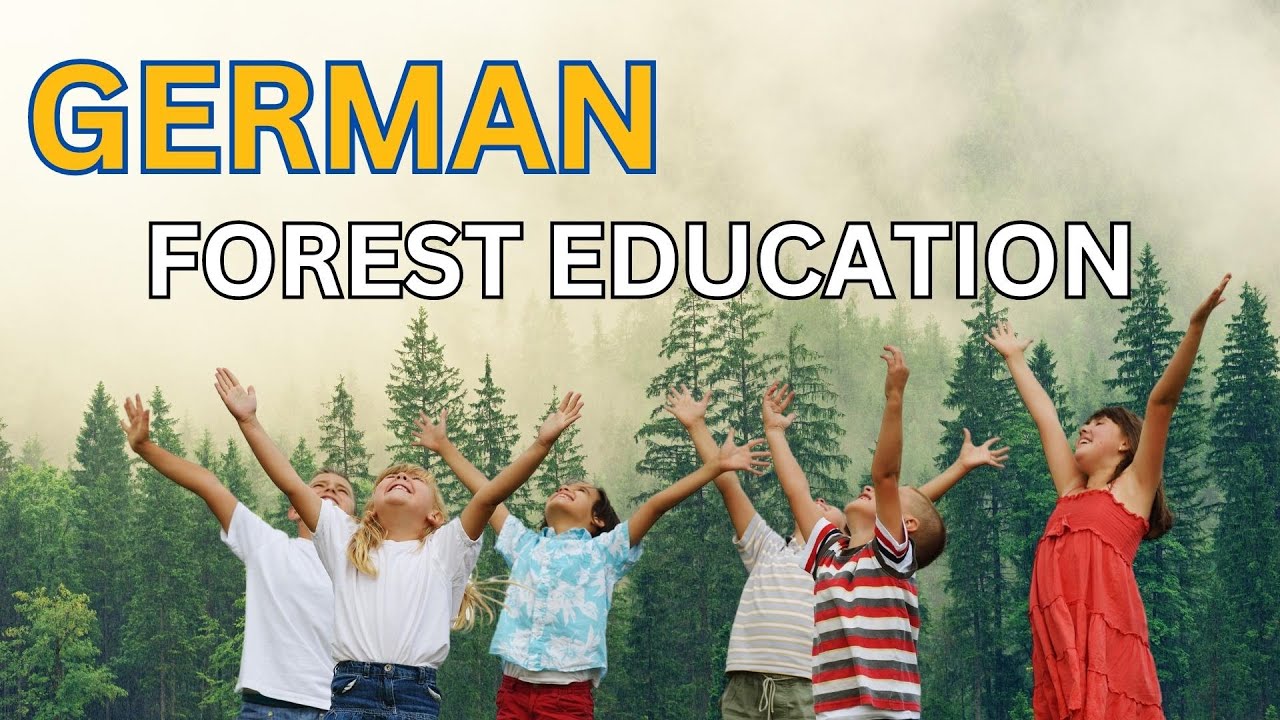 German Forest Education Children love nature || World Environmental ...