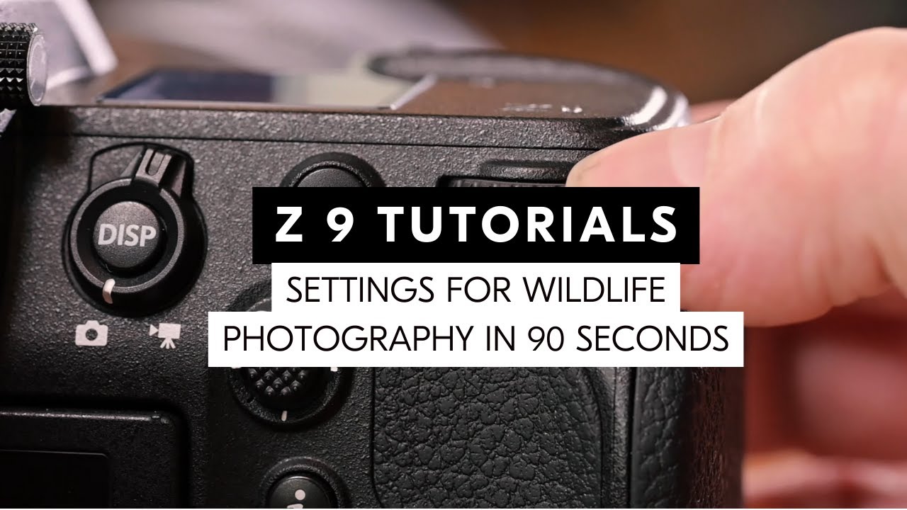 Nikon Z 9 tutorial: Adjust your Z 9 in 60 seconds for wildlife photography - YouTube