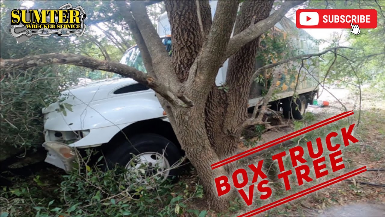 Box truck vs Tree - YouTube