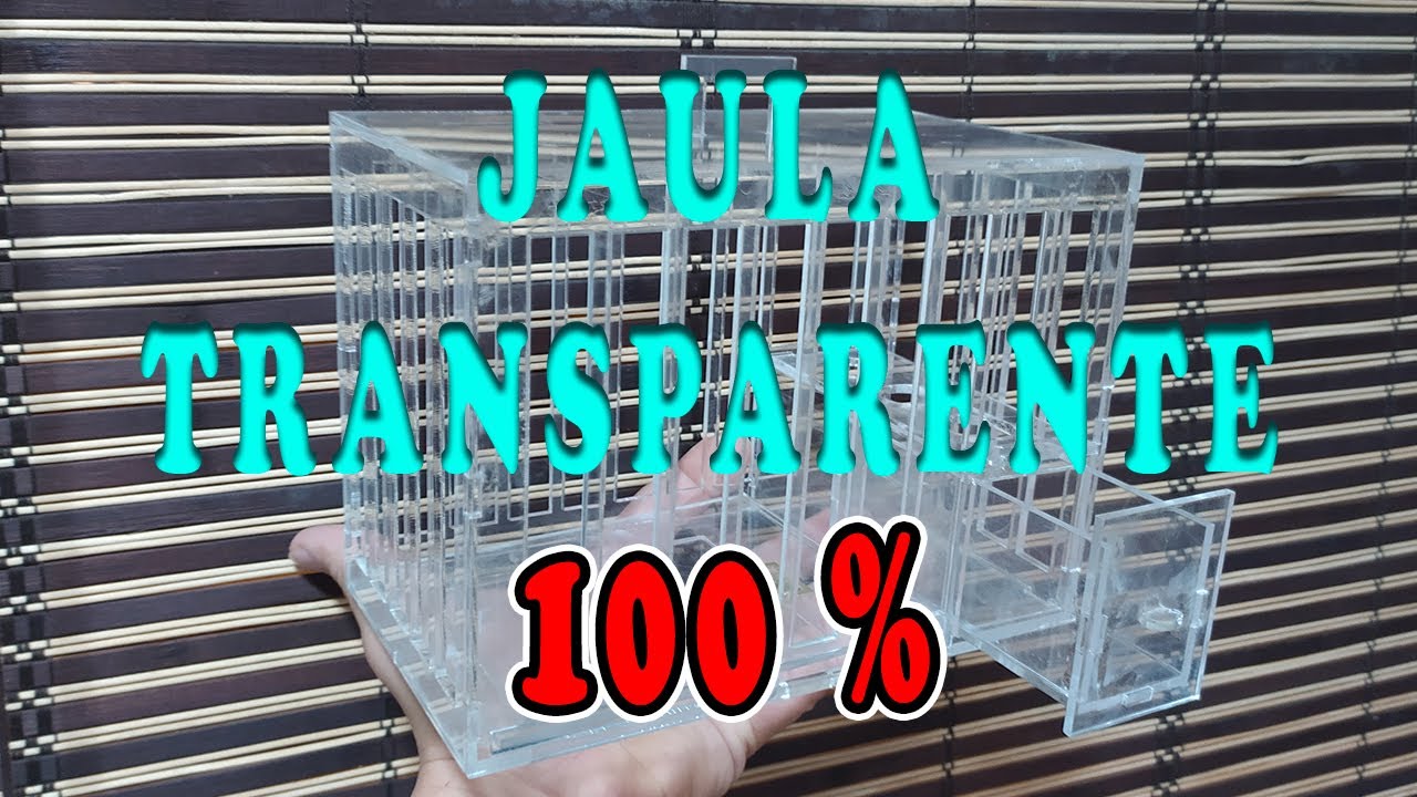JAULA TRANSPARENTE 100% ( METACRILATO ) - YouTube