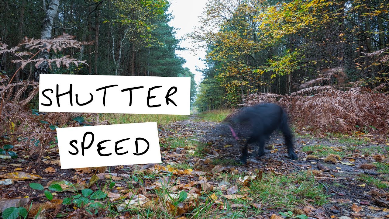 What Does Shutter Speed Do? - YouTube