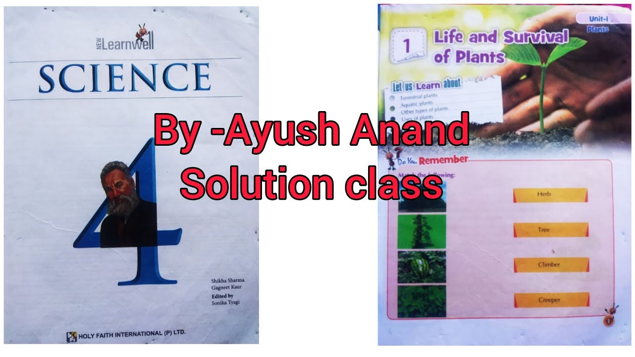 New Learnwell science class 4 solution of chapter 1,Solution of class 4 ...
