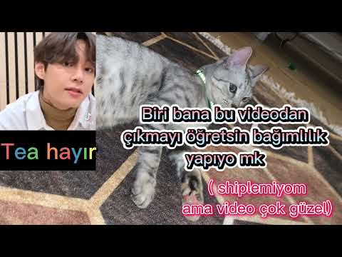 Video benim değil ama videonun altındaki yazılar benim komik olsun diye yazdım