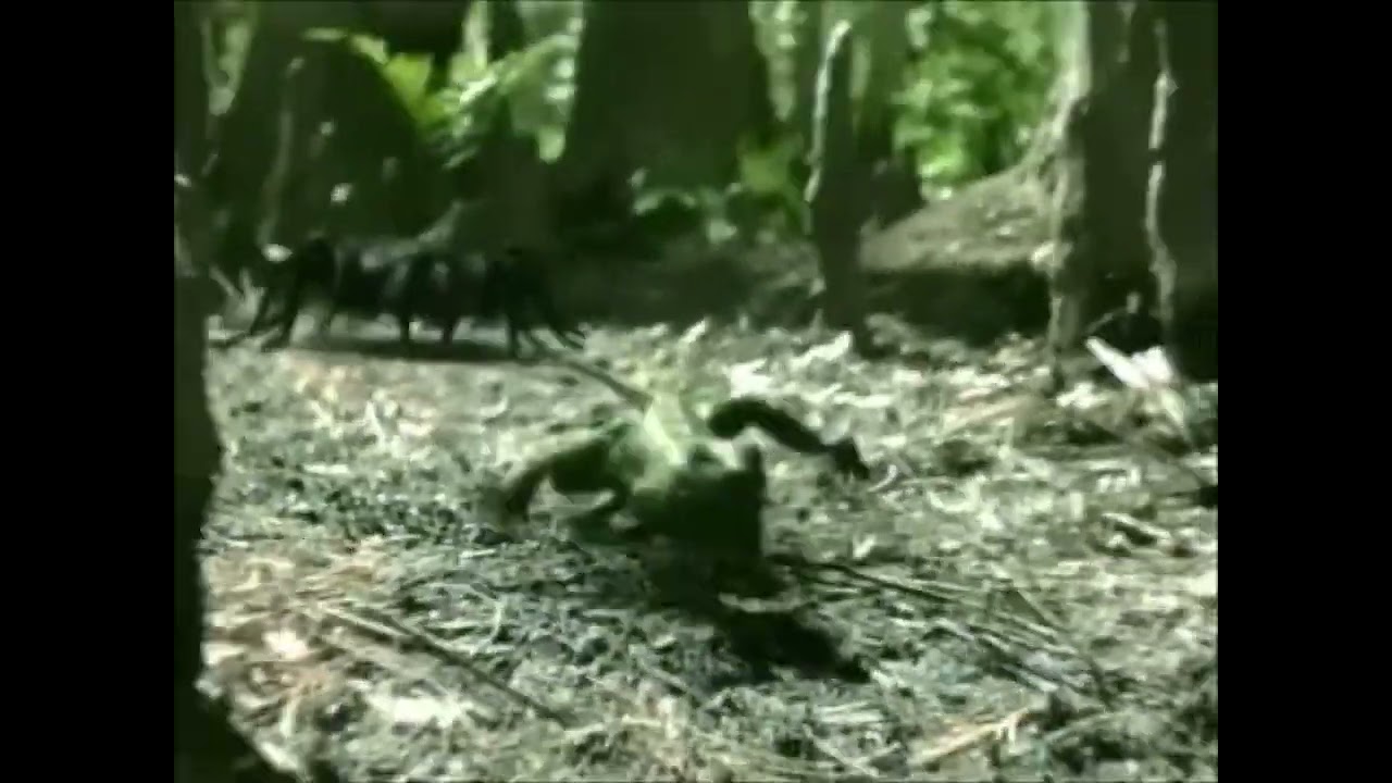 TRILOGY OF LIFE - Walking with Monsters - "Megarachne". M - YouTube