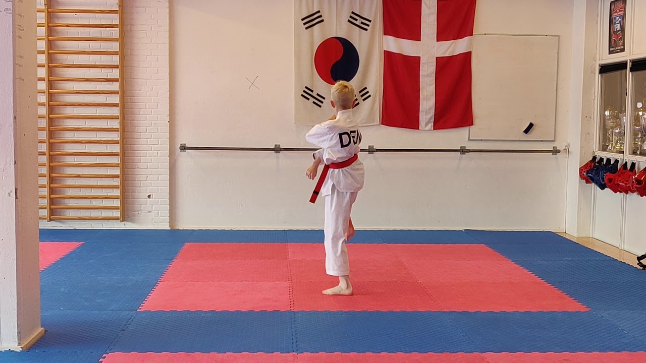 Final Joachim Falk Denmark - YouTube