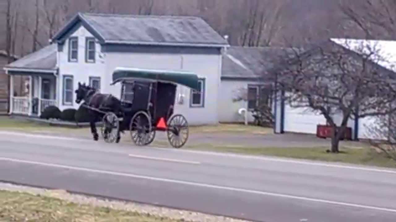 Amish sports adventures - YouTube