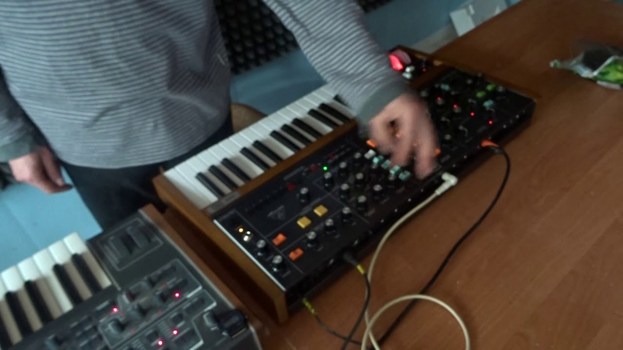 Behringer Poly-D bass sequence! - YouTube