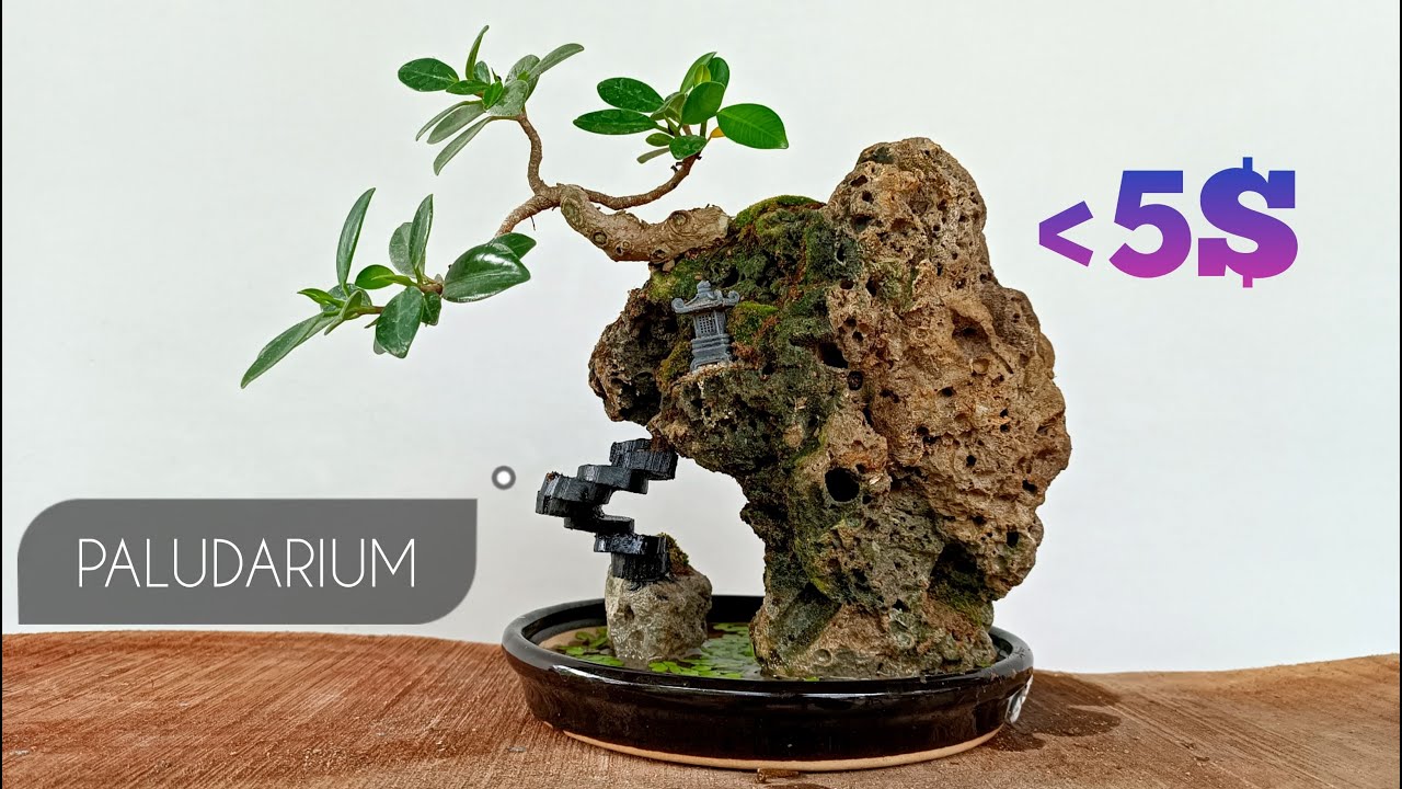 Making an Paludarium With Simple Islands - YouTube