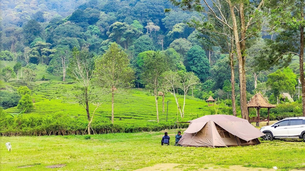 Camping Keluarga Di Tengah Perkebunan Teh Puncak | Pinus Ecopark ...